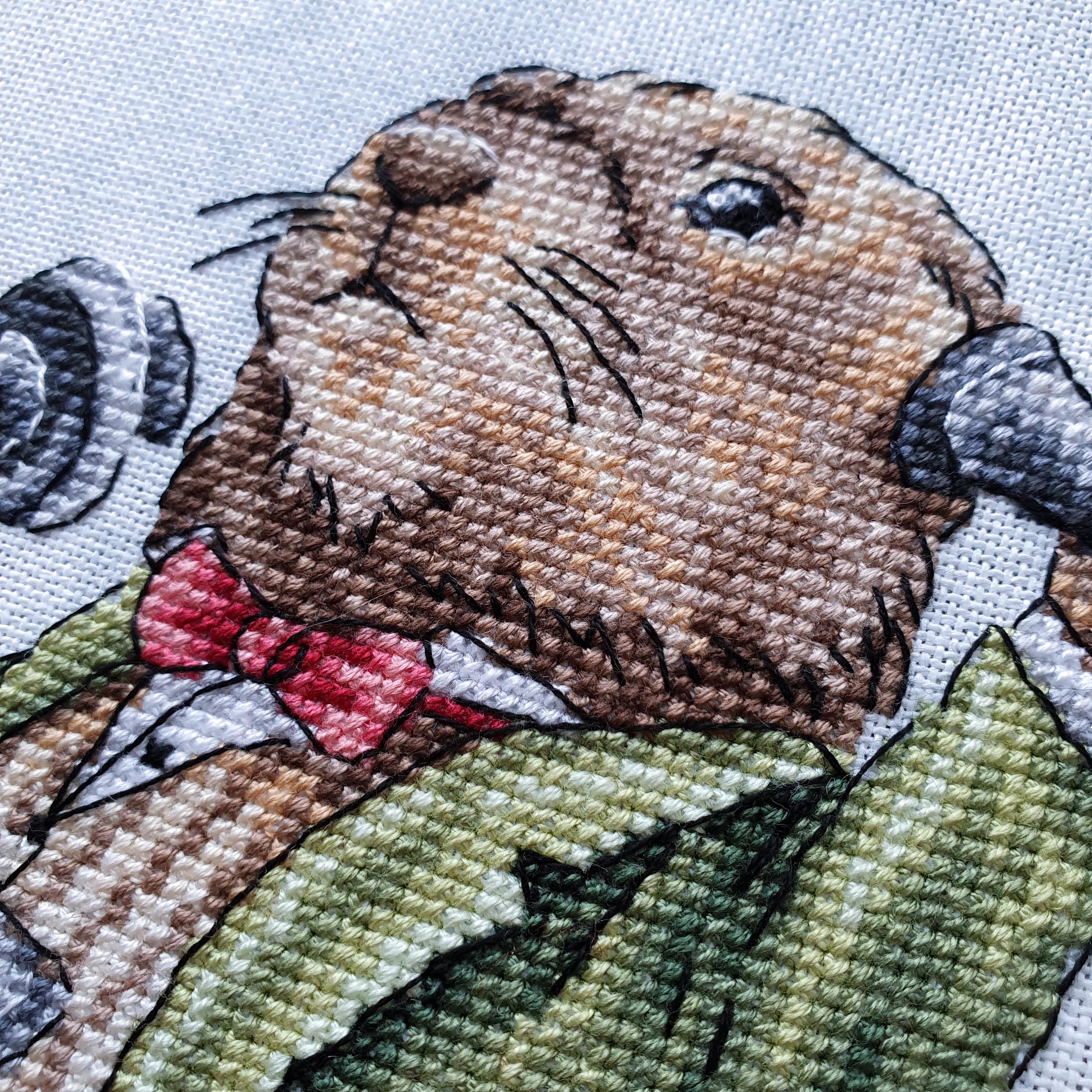 Marmot Cross Stitch Pattern Instant Download Pdf, Beaver Vintage DIY ...