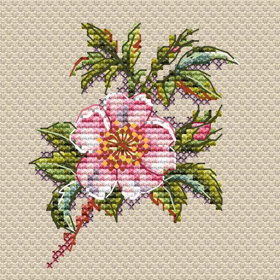 Wild Rose Cross Stitch Pattern – Floral Cross Stitch Pattern PDF ...