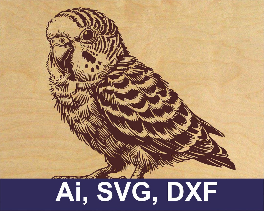 Parrot Svg, Parrot Ai, Parrot Eps, Laser Engraving, Parrot Drawing ...