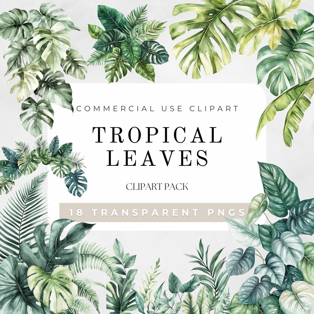 Tropical Leaves Watercolor Clipart, Tropical Leaf, Tropical Foliage PNG ...