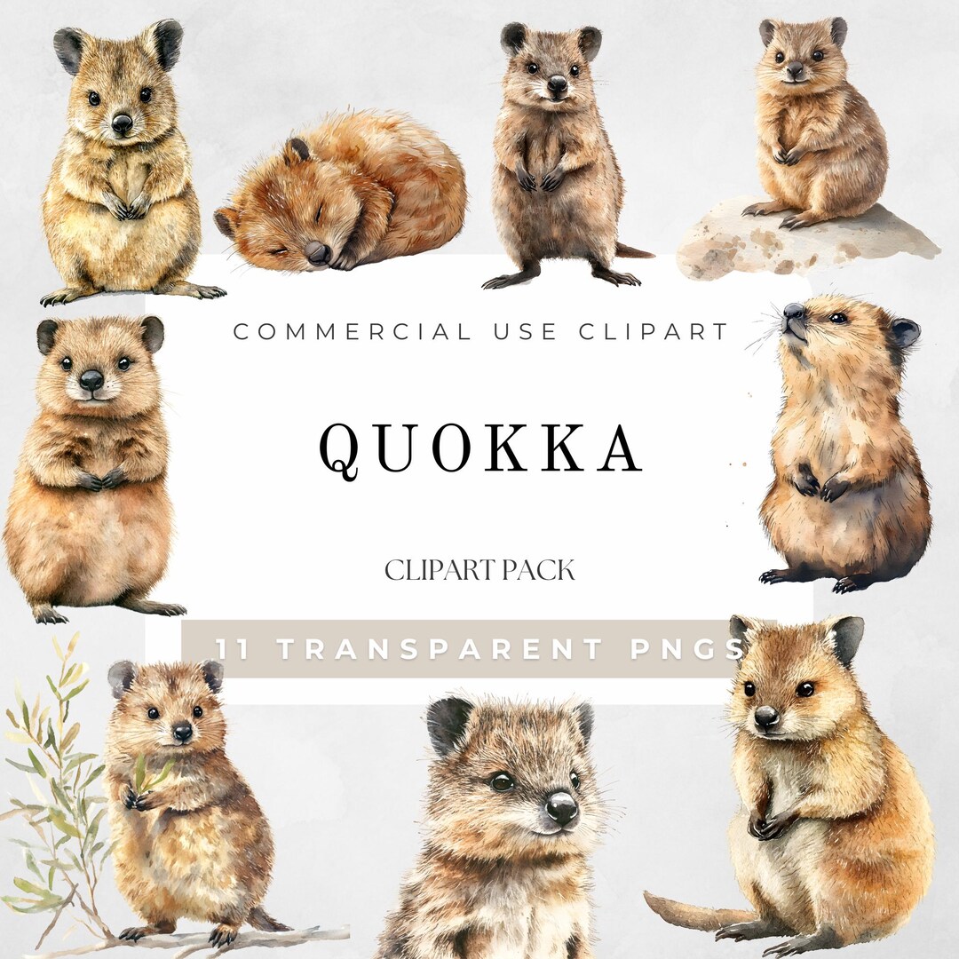Quokka Clipart Watercolor, Whimsical Australia Animal PNG, Quokkas ...