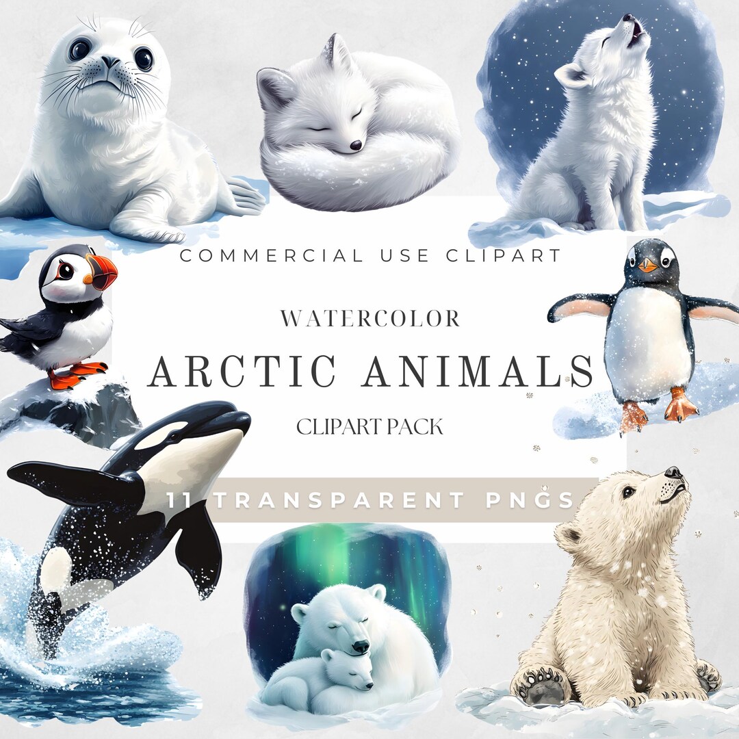 Arctic Animals Watercolor Clipart, Winter Animals PNG, Cute Animals ...