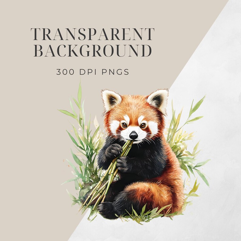 Red Panda Watercolor Clipart, Cute Red Panda Stickers, Cute Animal ...