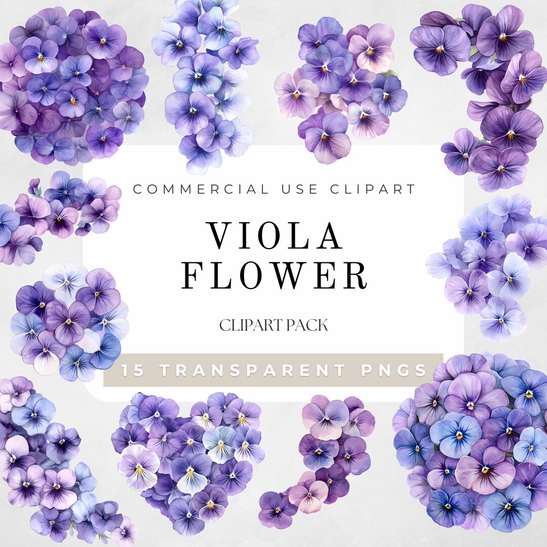Viola Flower Clipart, Viola Floral Clipart, Birth Flower Print ...
