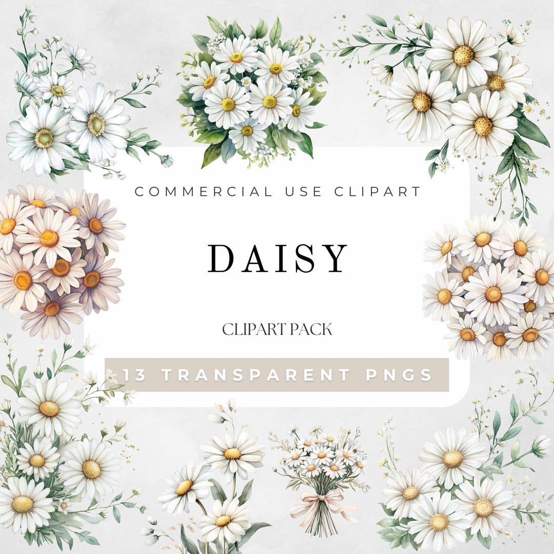 Watercolor Daisy Clipart, Spring Flower Clipart, Daisy Flowers PNG ...