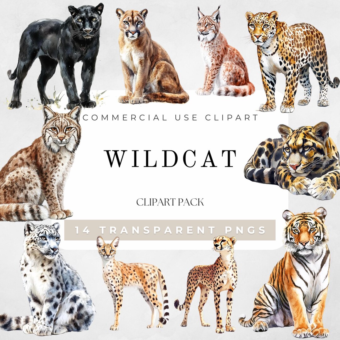 Wildcat Watercolor Clipart, Wildcats PNG, Animal Clipart, Safari Animal ...