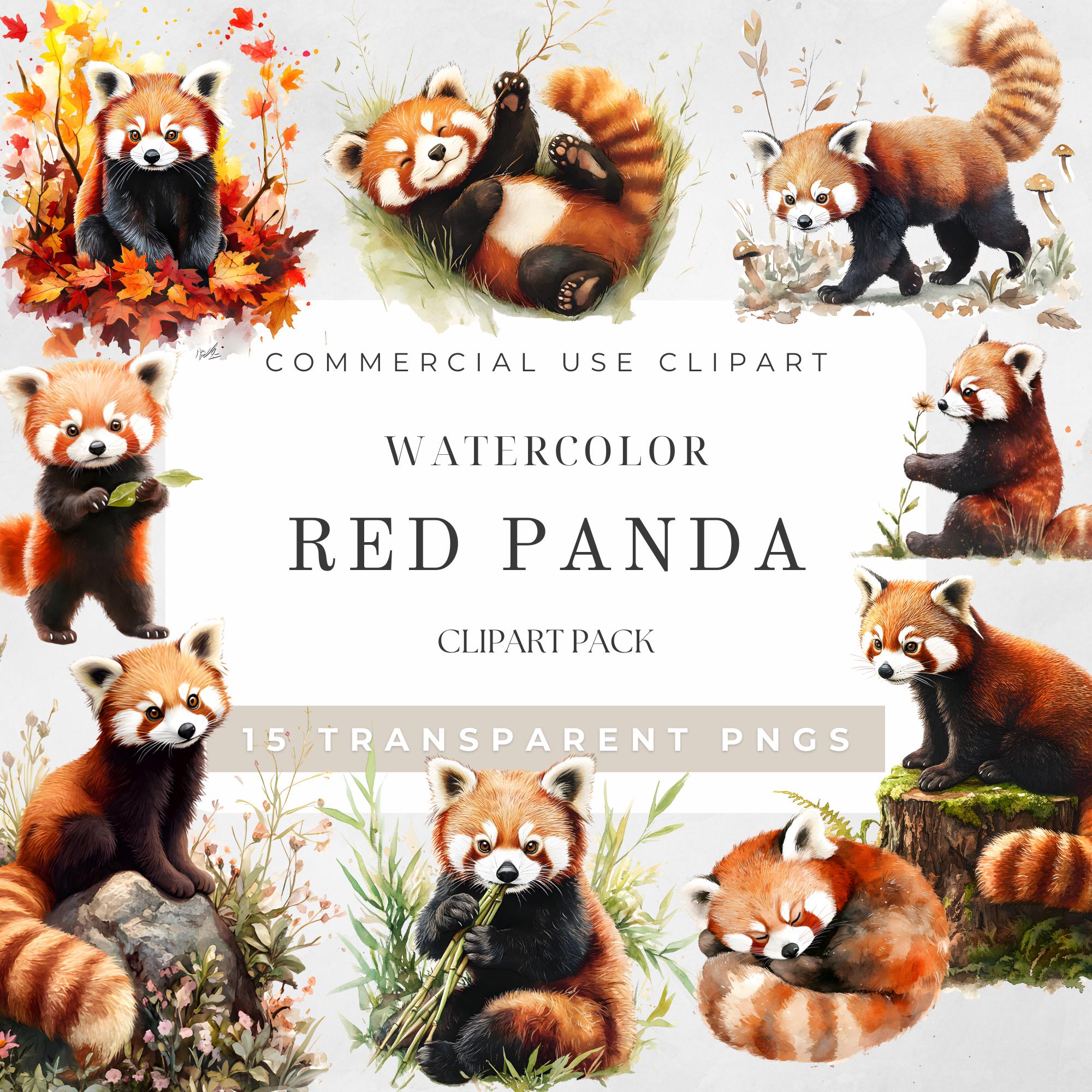 Red Panda Watercolor Clipart, Cute Red Panda Stickers, Cute Animal ...