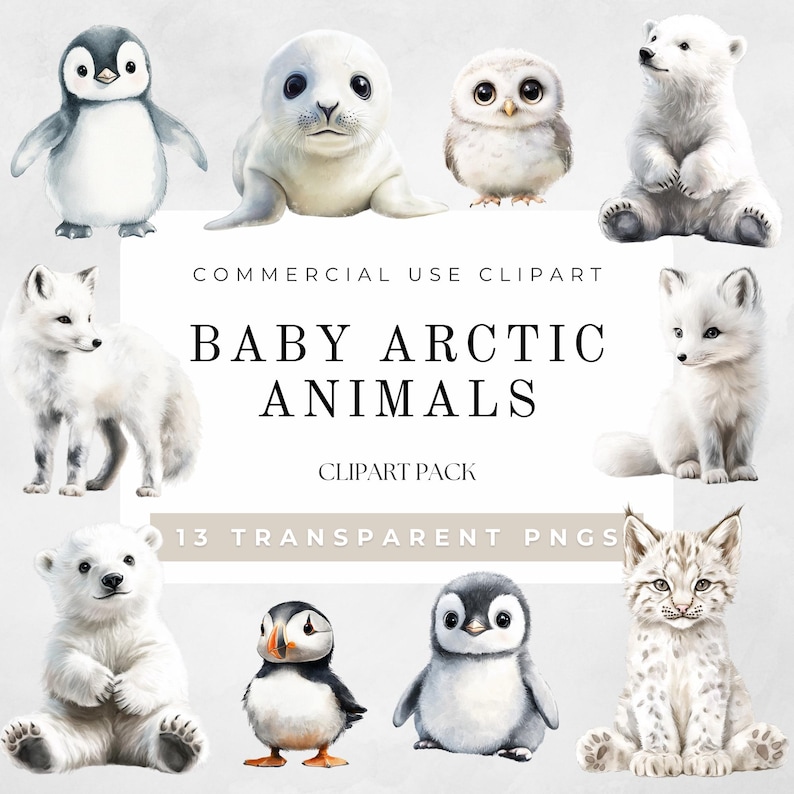 Baby Arctic Animals Watercolor Clipart, Cute Baby Animal Clipart ...