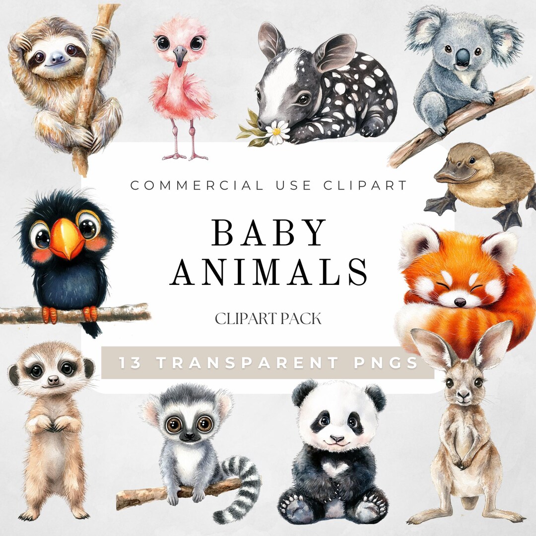 Baby Animal Watercolor Clipart, Cute Jungle Animals Clipart, Animal ...