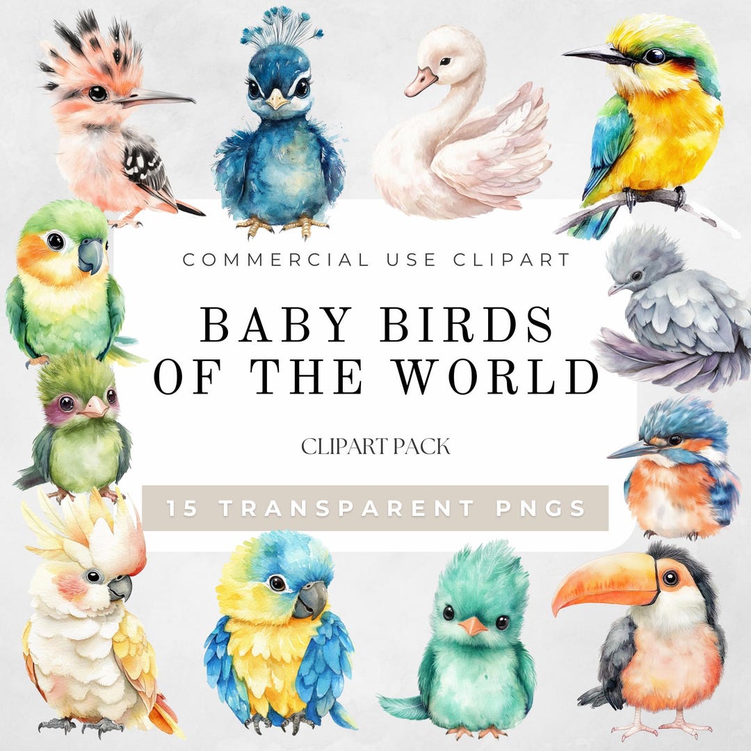 Baby Birds Watercolor Clipart, Exotic Birds, Cute Baby Animal Clipart ...
