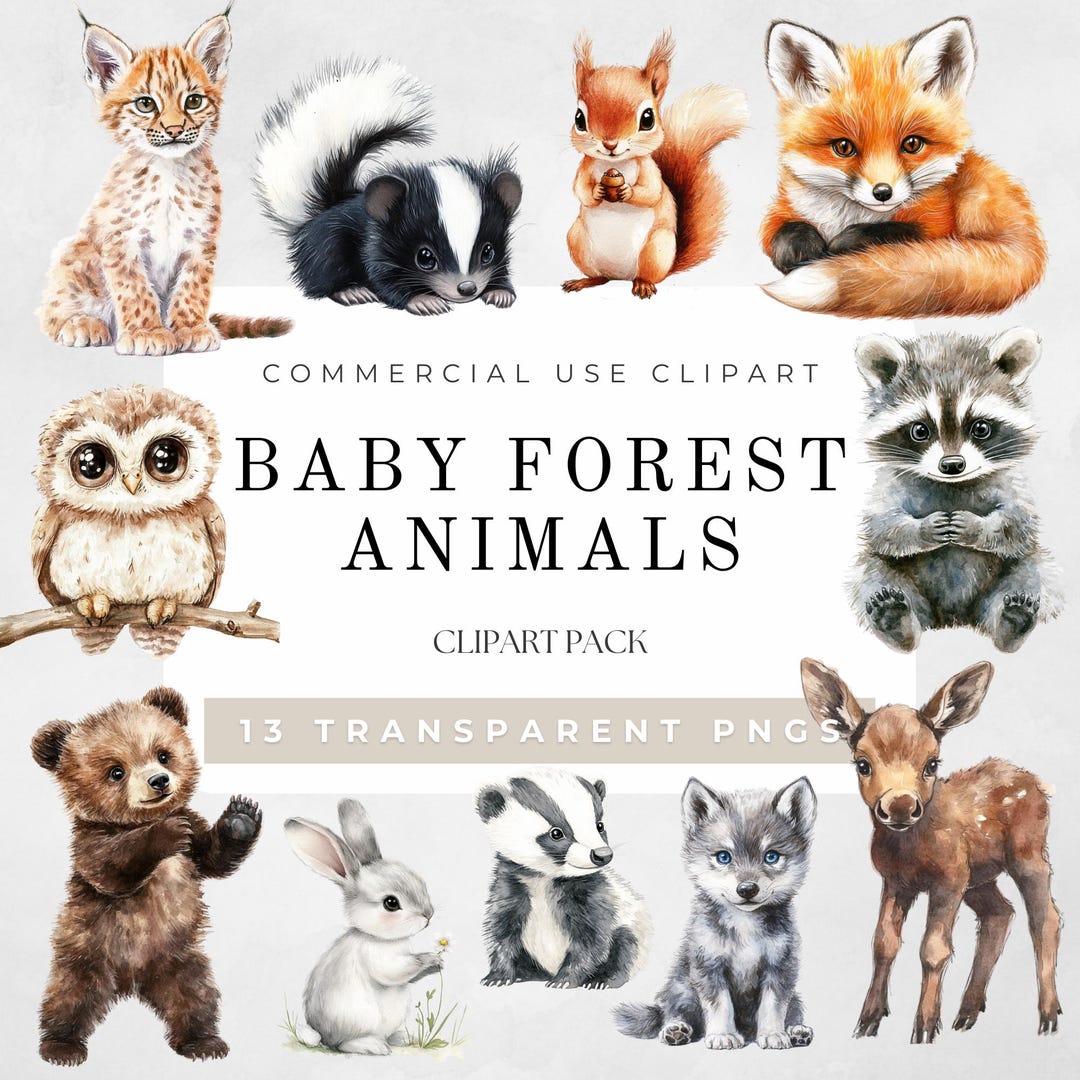 Woodland Animal Clipart Watercolor, Cute Baby Animals, Nursery Forest ...