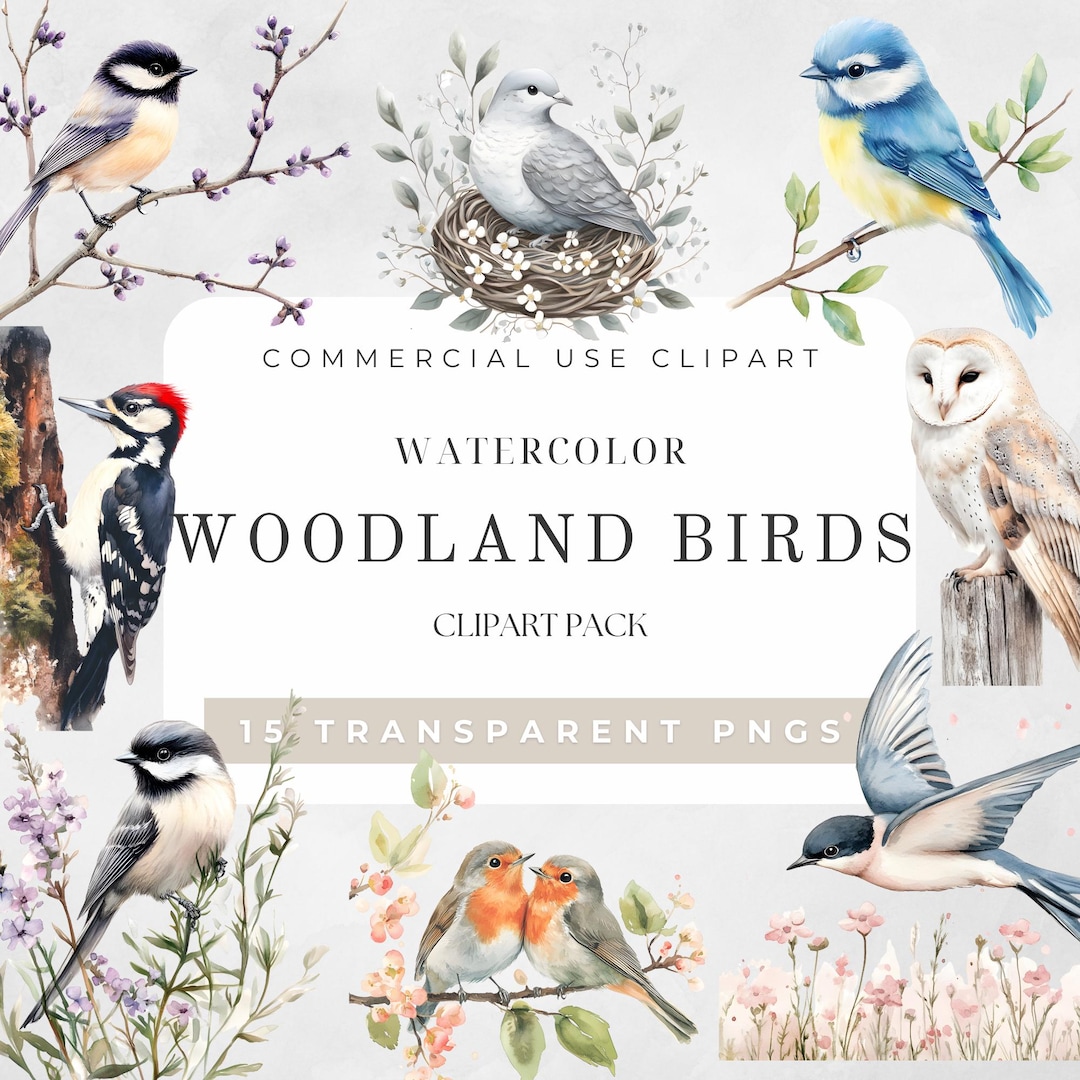 Woodland Birds Watercolor Clipart Set – Forest Birds Illustration ...