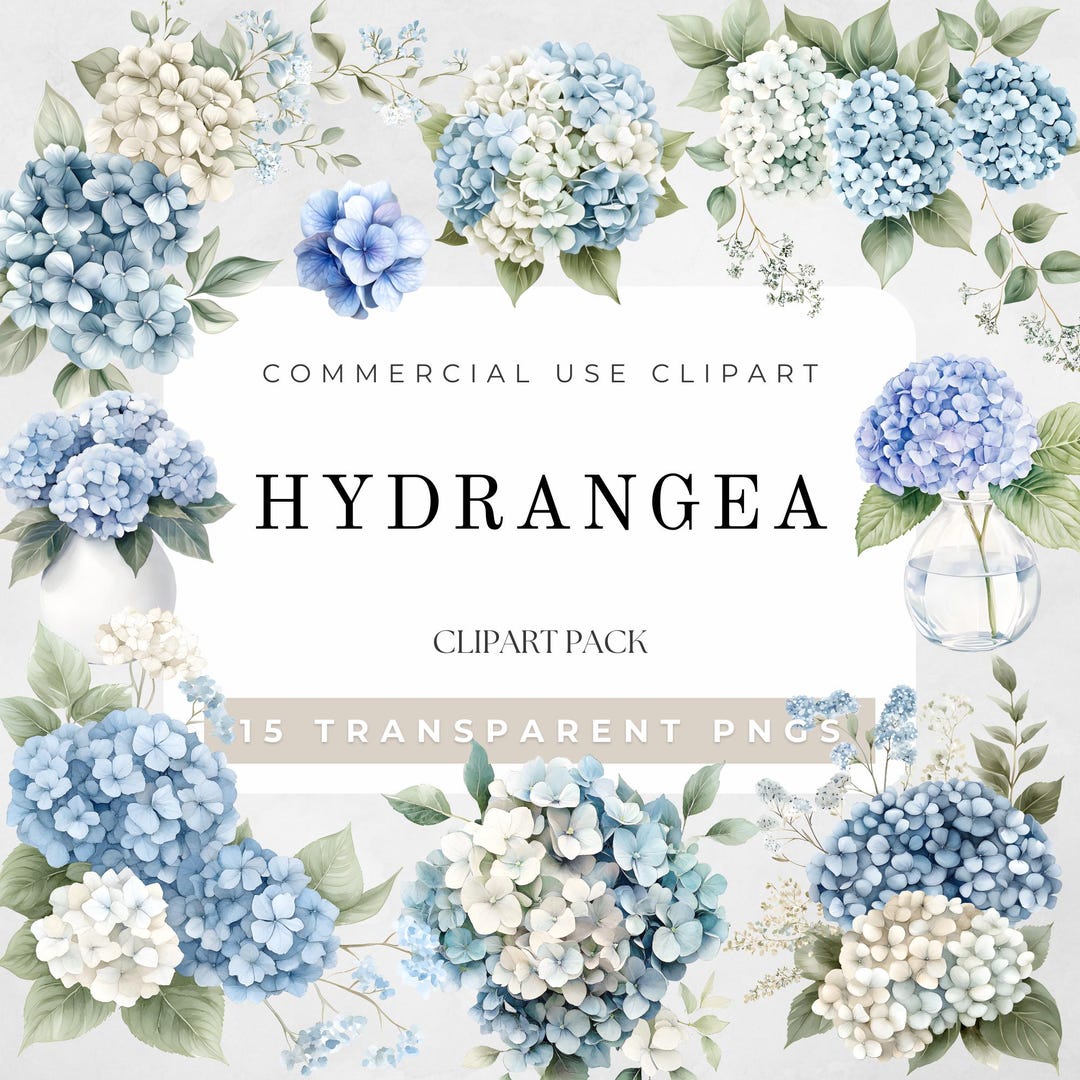 Hydrangea Clipart Bundle Watercolor Blue White Hydrangea Art Hydrangea ...