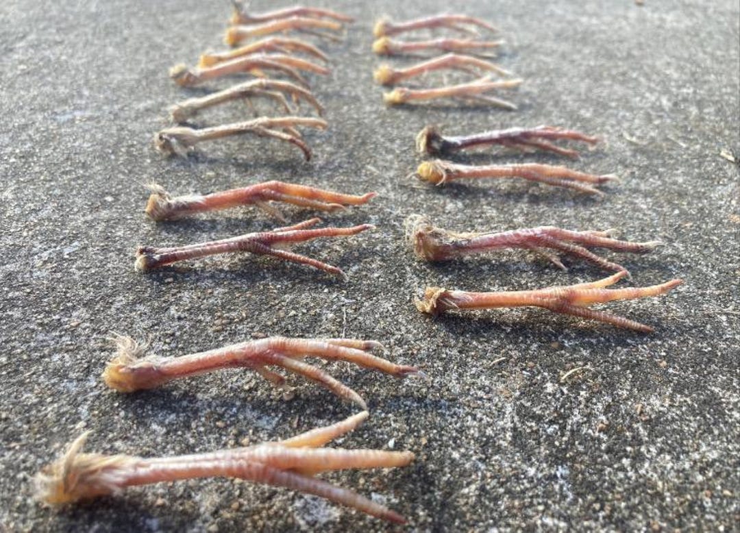 Pair of Quail Feet - Etsy