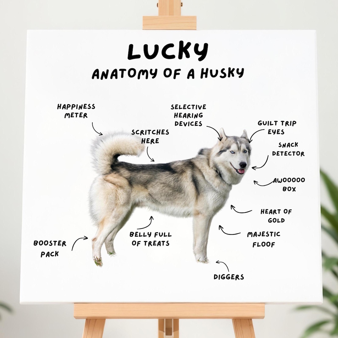 Personalized Funny Husky Anatomy Canvas Art, Dog Lovers Gift, Fun Pet ...