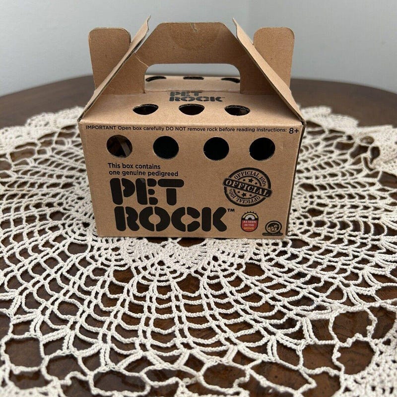 Pet Rock - Etsy
