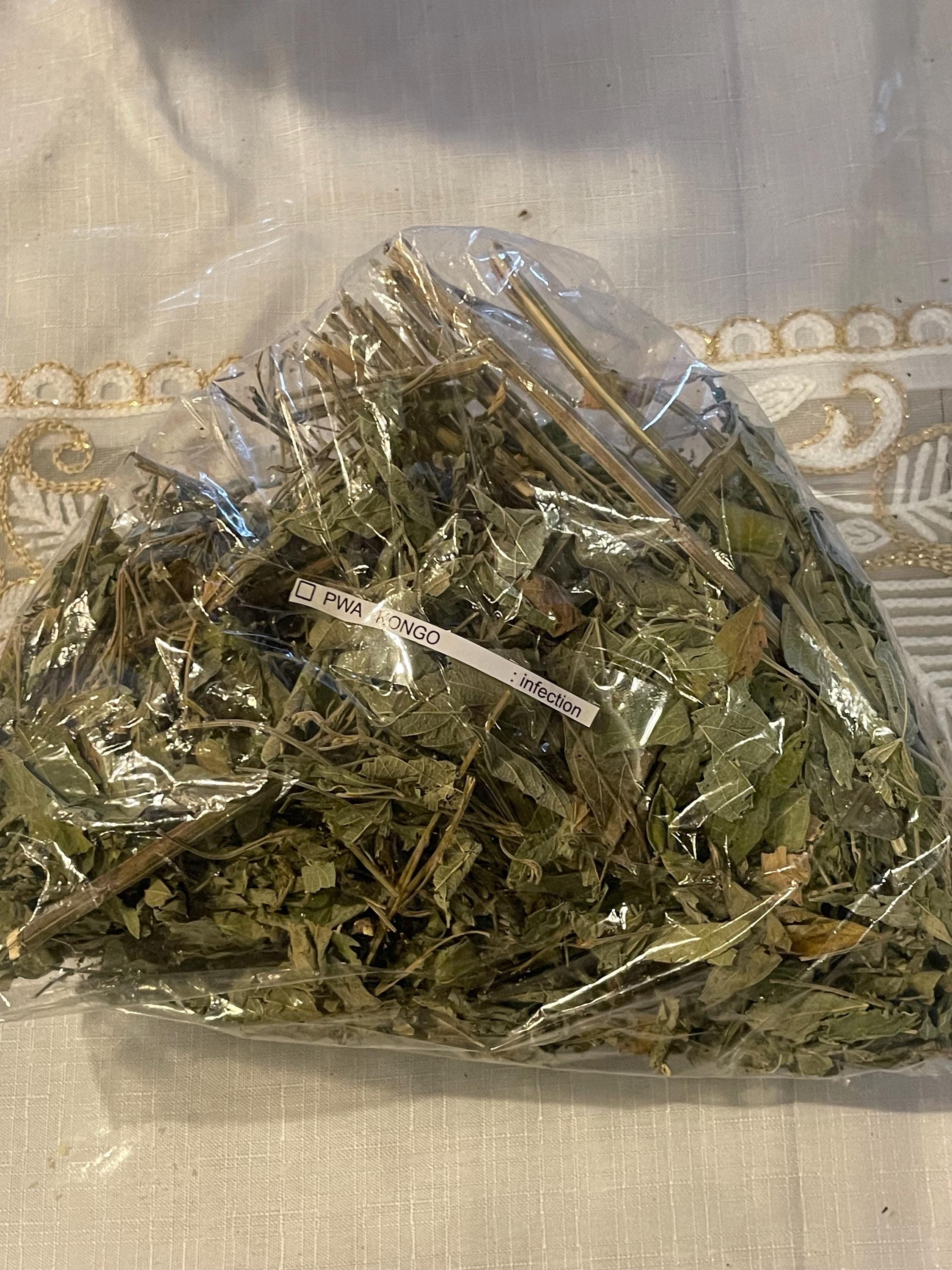 Fèy Pwa Kongo Feuilles Pois Congo - Etsy