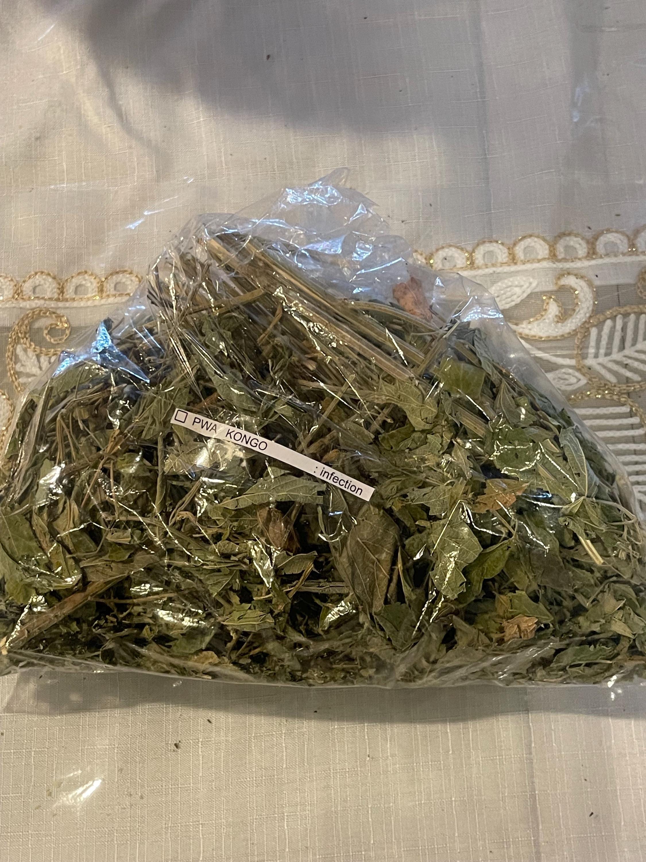 Fèy Pwa Kongo Feuilles Pois Congo - Etsy