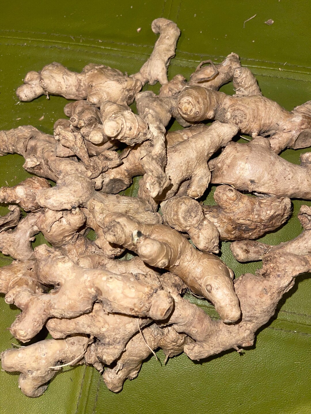 JENJANM AMÈ Gingembre Amer. - Etsy