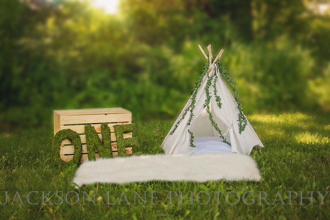 High Resolution Digital Background, ONE - Etsy