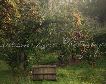 INSTANT DOWNLOAD: Apple Orchard Digital Background for Ps & Pse Digital ...