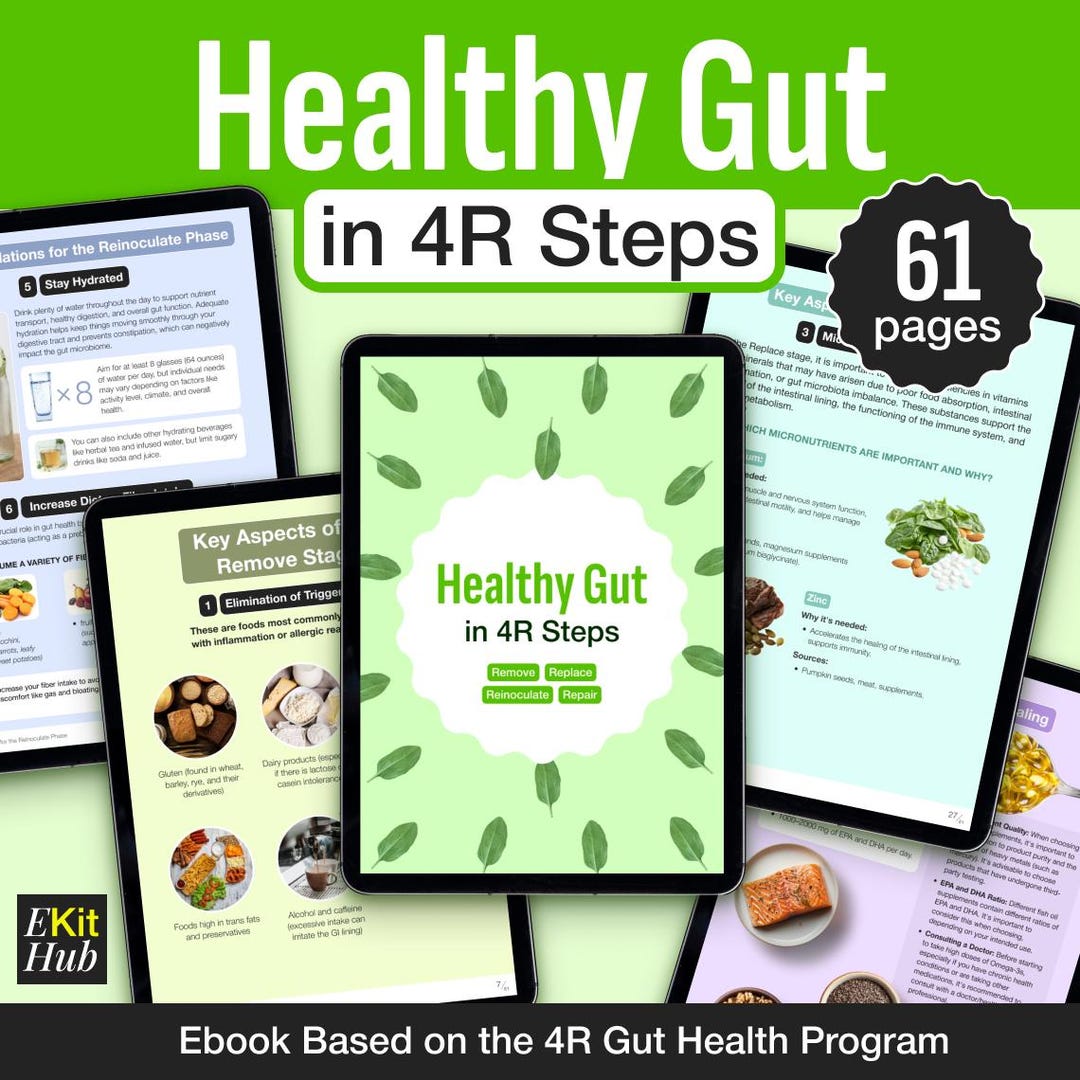 Ebook Based on the 4R Gut Health Program – 61-page Guide With Recipes for Digestive Recovery and ...