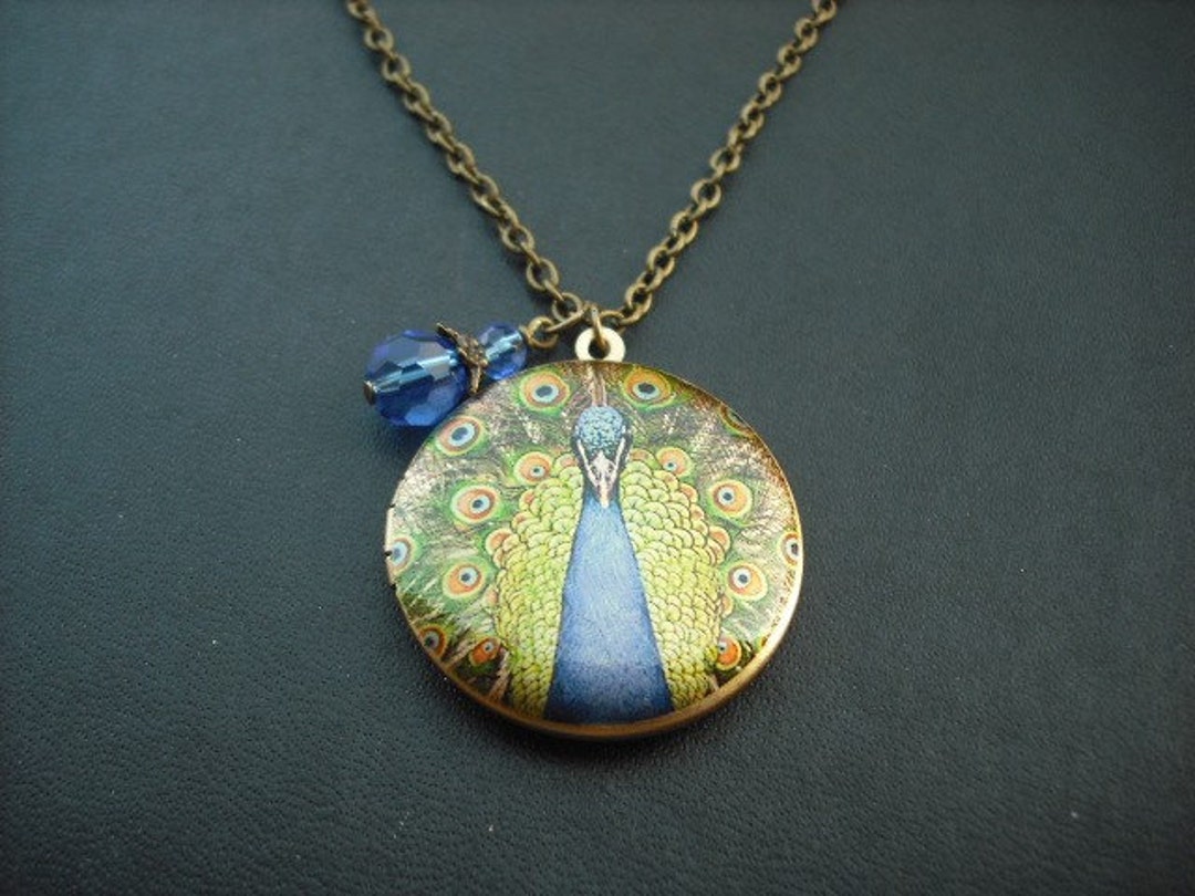 Fancy Blue Peacock Locket With Antique Brass Chain Necklace - Etsy