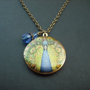 Fancy Blue Peacock Locket With Antique Brass Chain Necklace - Etsy