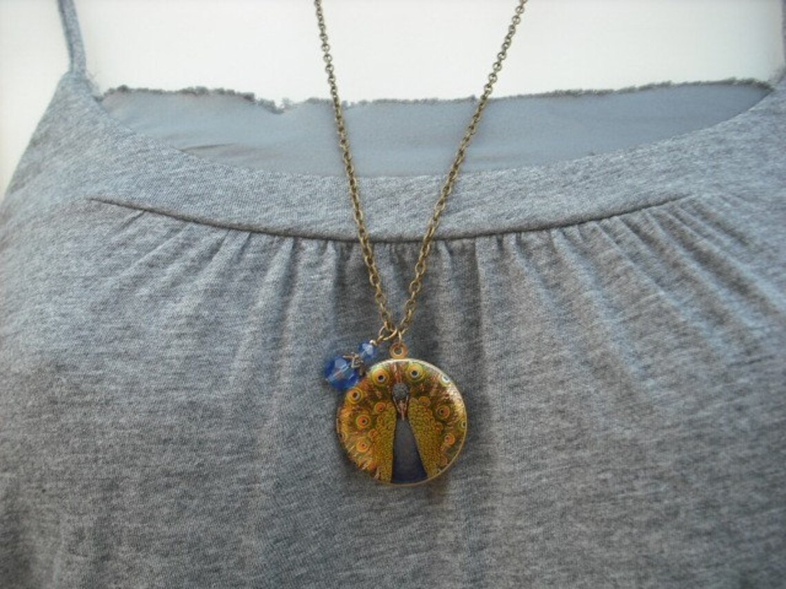 Fancy Blue Peacock Locket With Antique Brass Chain Necklace - Etsy