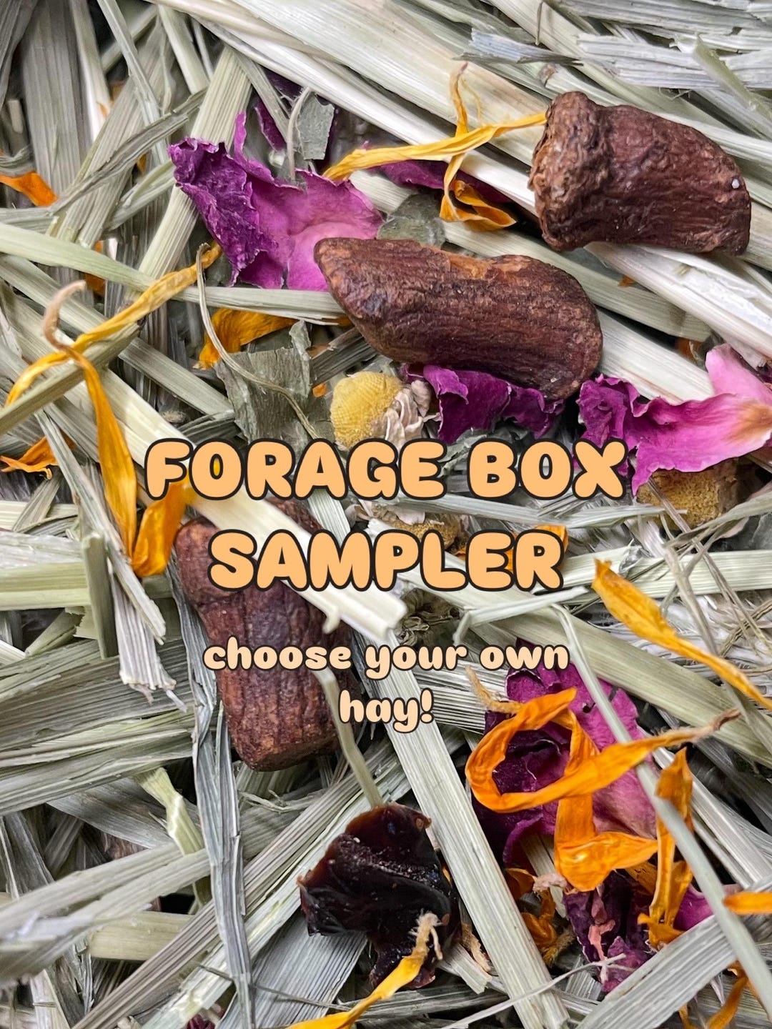 Mini Pet Forage Box Sampler: Organic Berry Flower Treats - Etsy