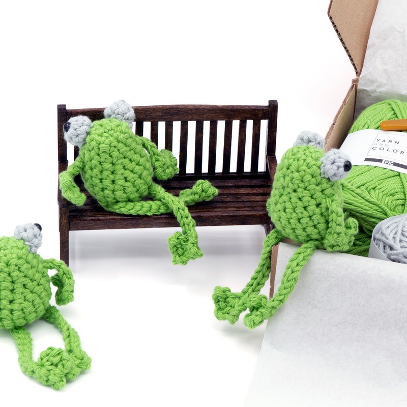 Frog Craft Kit - Etsy