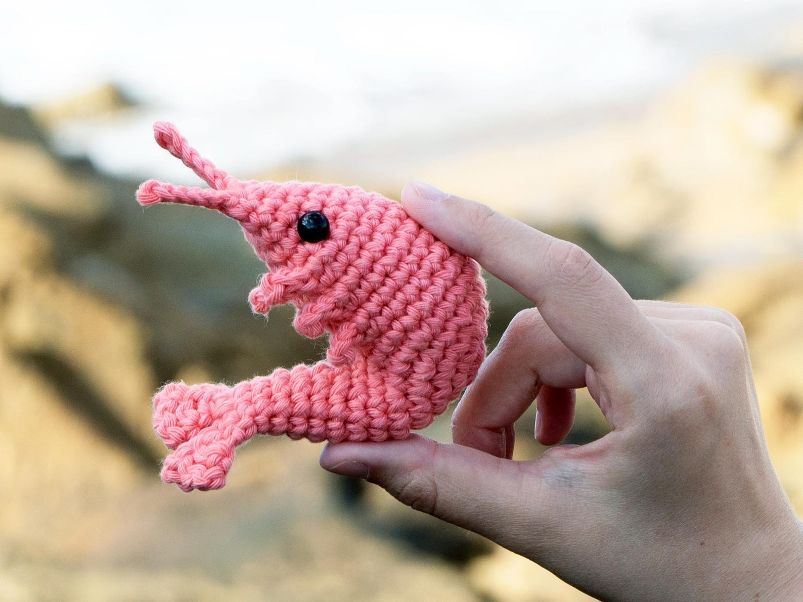 MADE to ORDER Shrimp Amigurumi Prawn Plush - Etsy