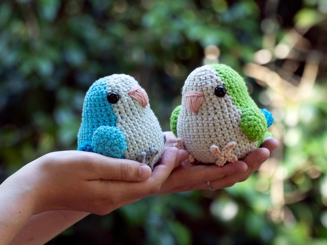 MADE to ORDER - Amigurumi Quaker Parrot - Blue or Green Monk Parakeet ...