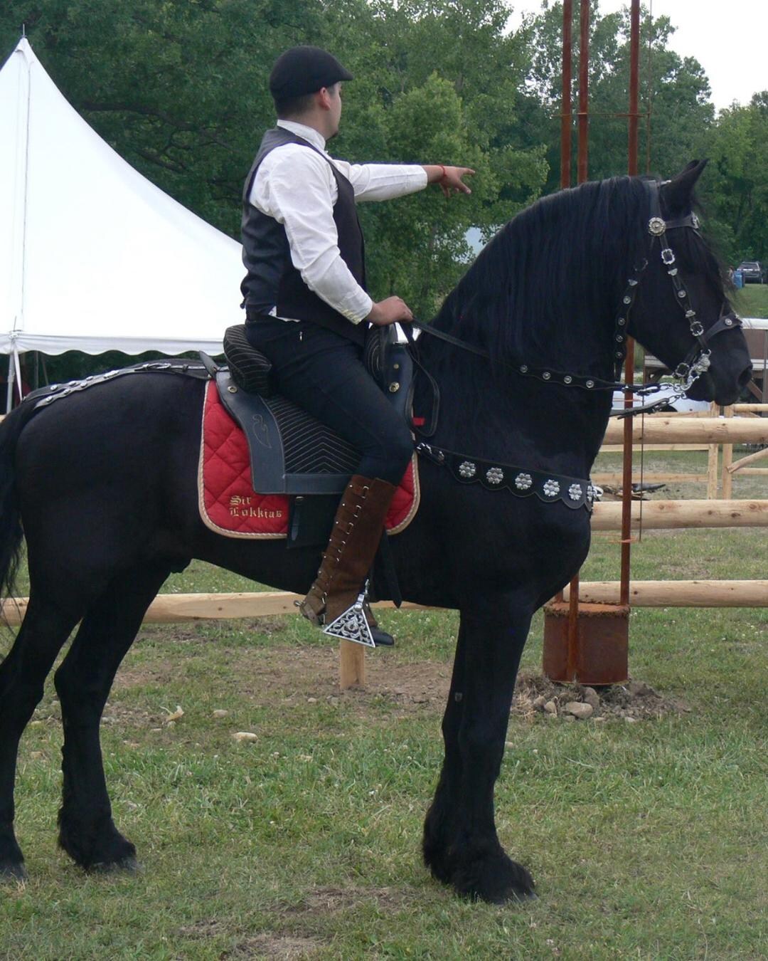 Fancy Horse Bridle With Reins, Handmade Leather Horse Bridle With Brass ...