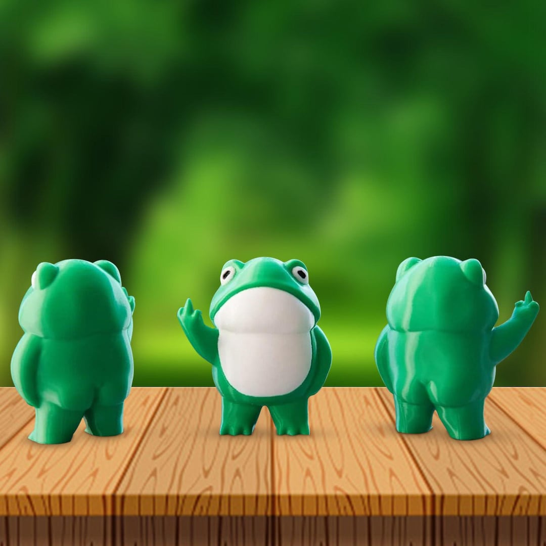 Mr. Senior Frog Middle Finger - Etsy