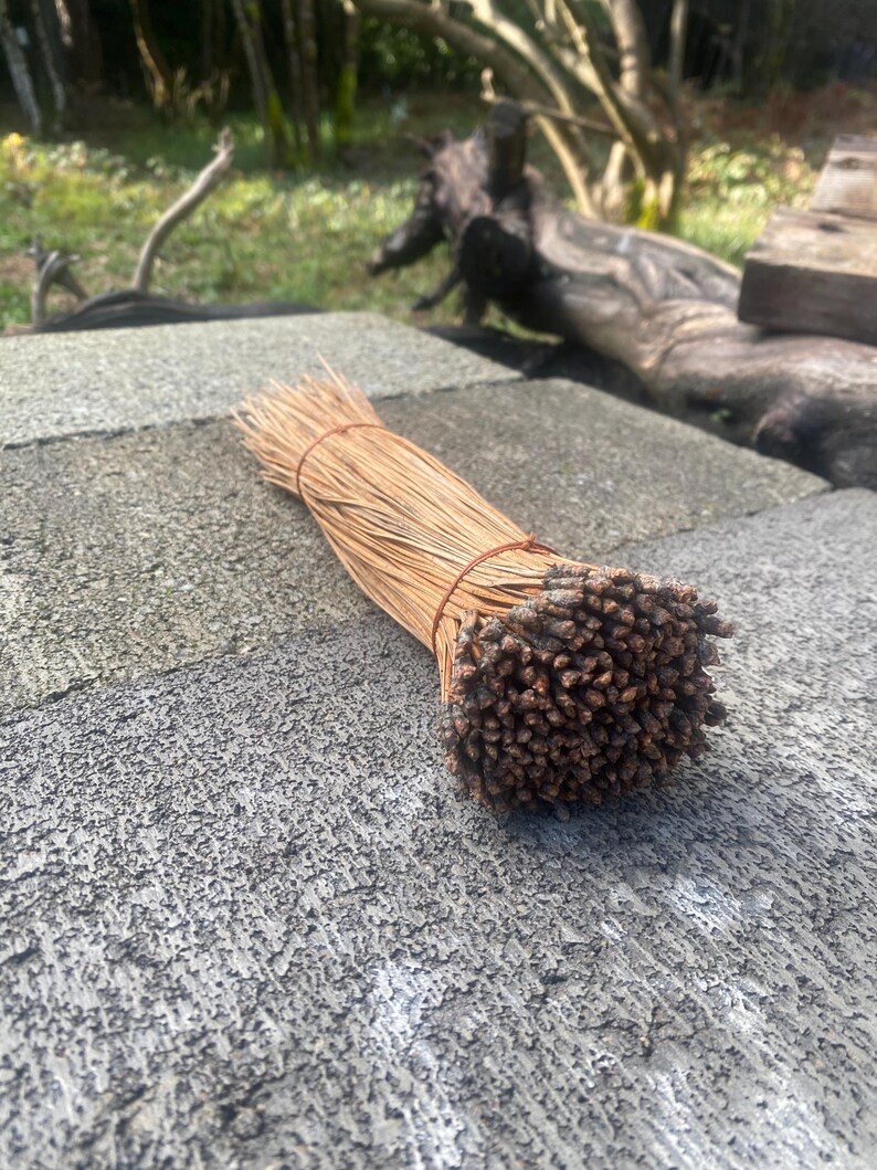 Pine Needles | Basketry | Craft Supplies - Etsy