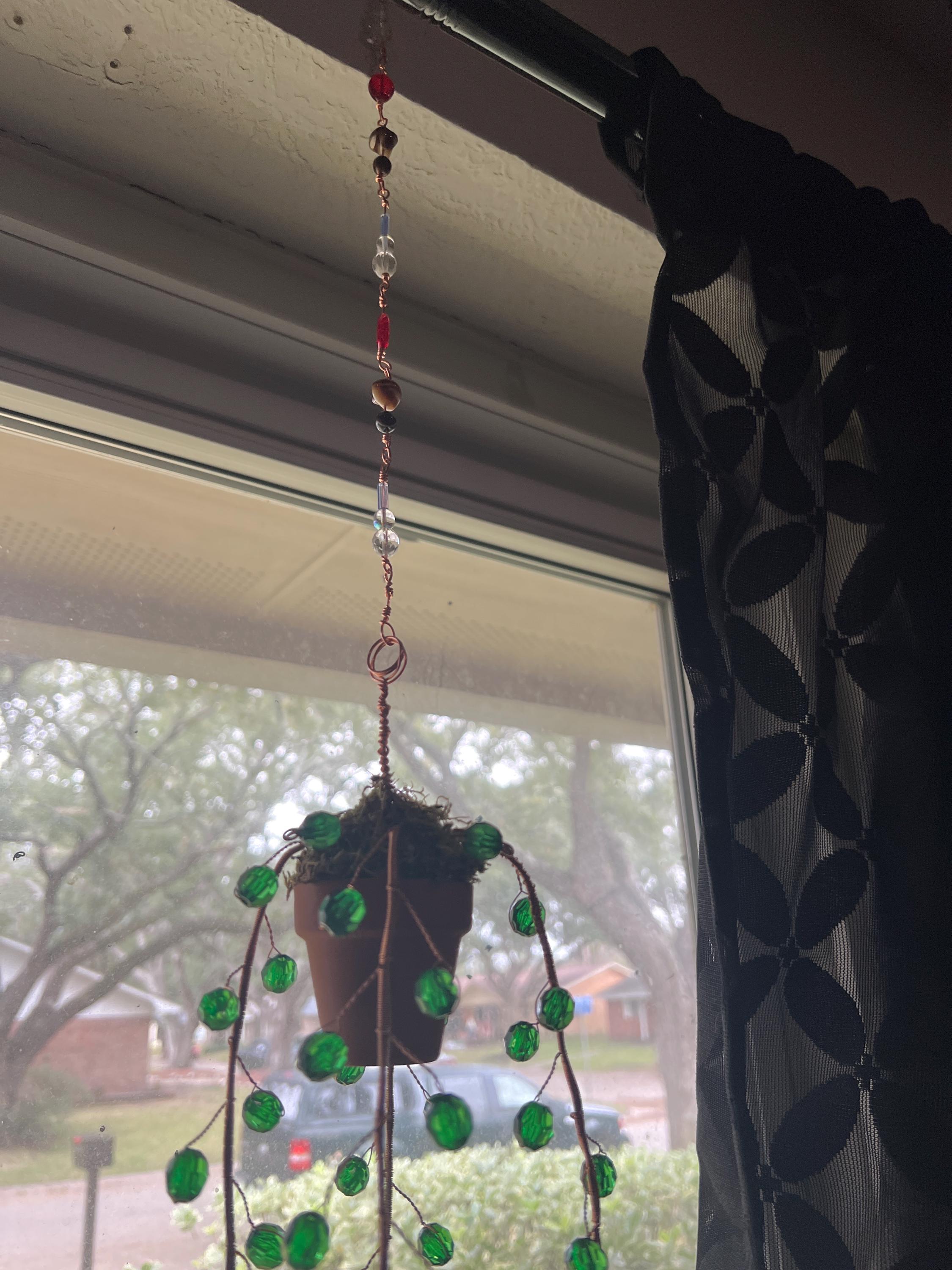 Forever Succulent Similar - Etsy