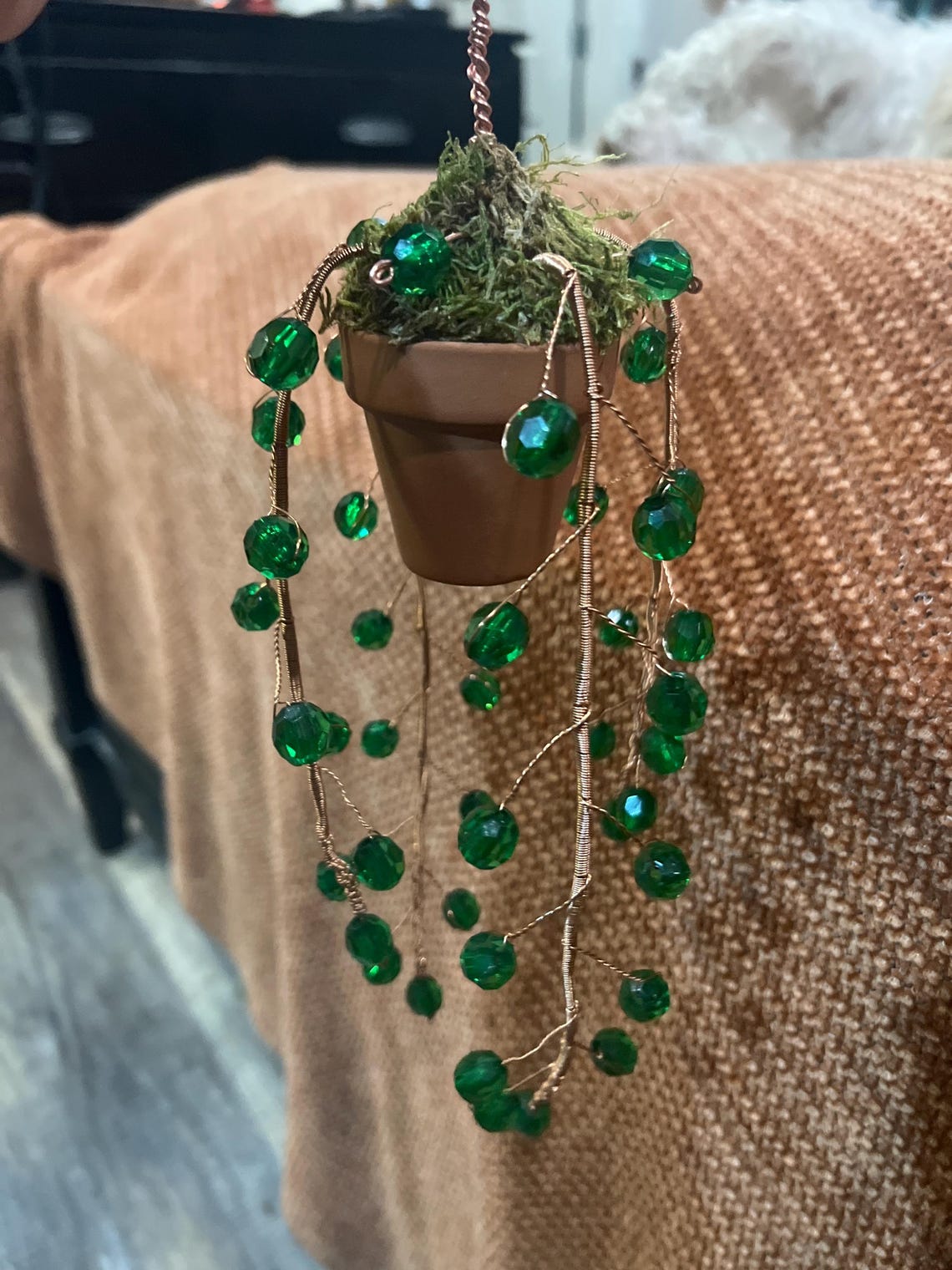 Forever Succulent Similar - Etsy