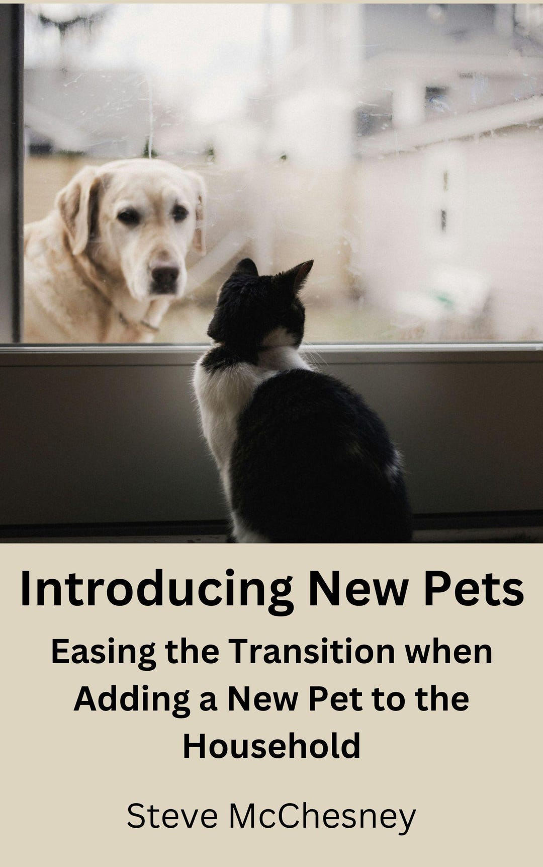 Introducing New Pets: Easing the Transition When Adding a New Pet to ...
