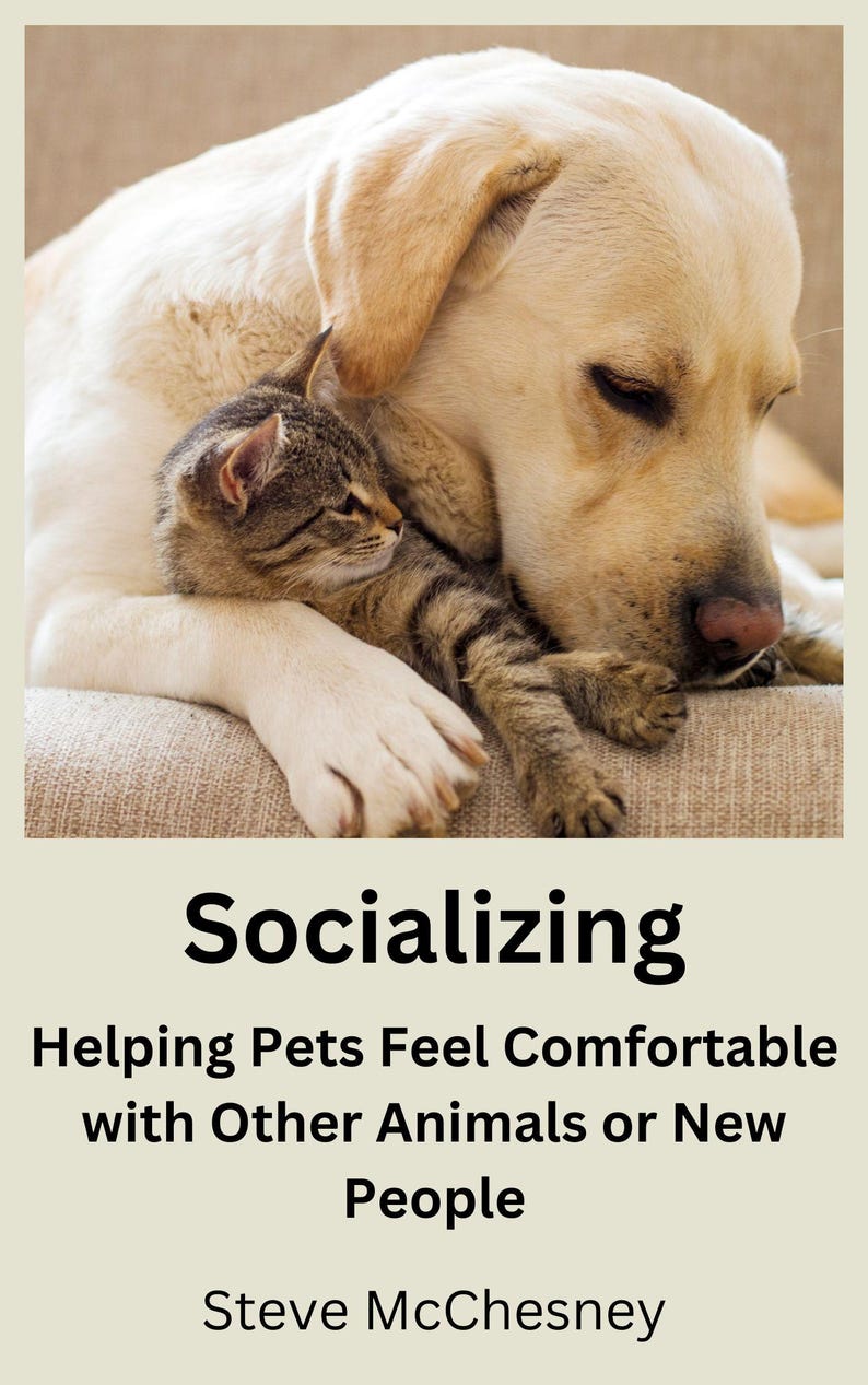 Socializing: Helping Pets Feel Comfortable With Other Animals or New ...