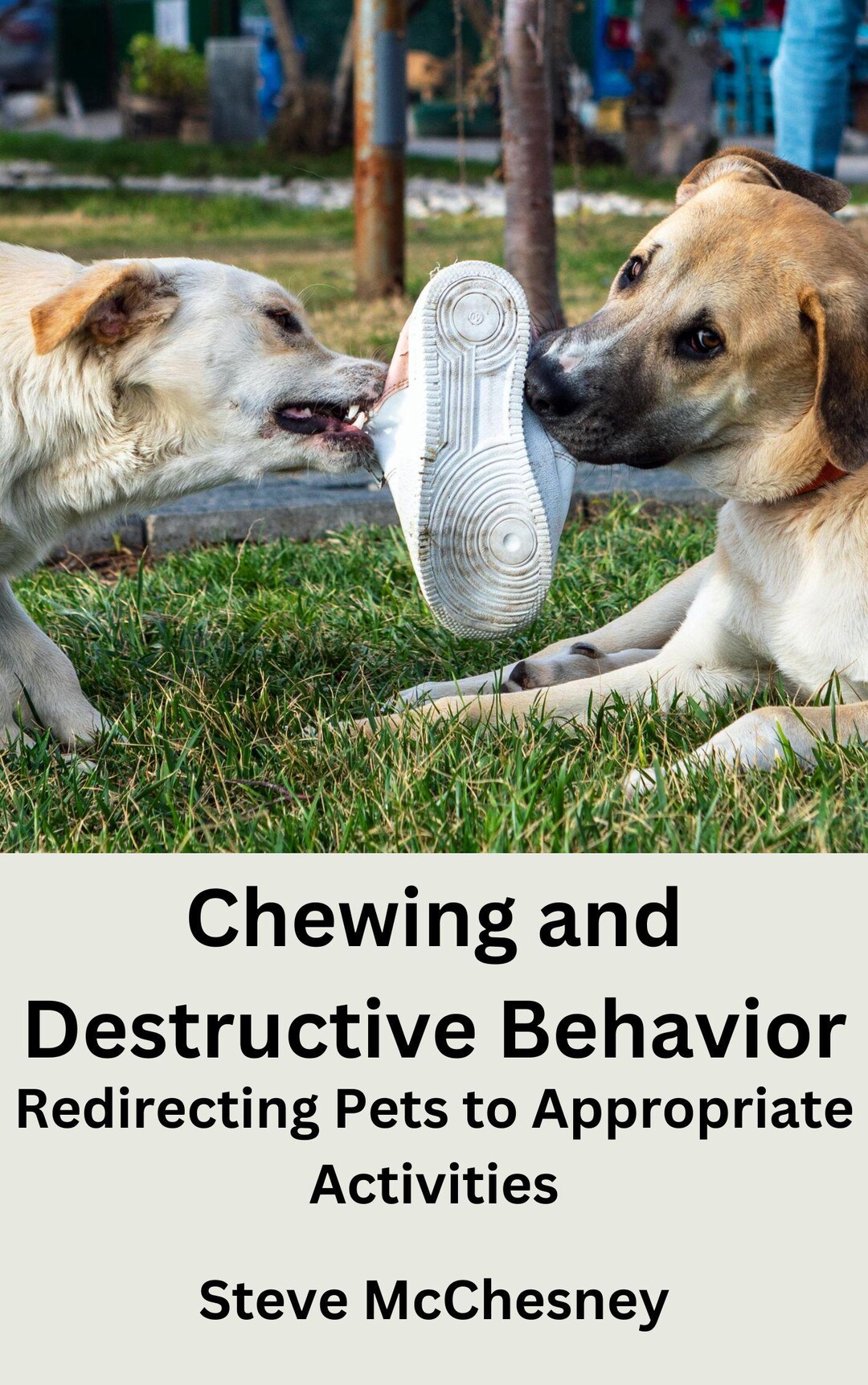 Chewing and Destructive Behavior: Redirecting Pets to Appropriate ...