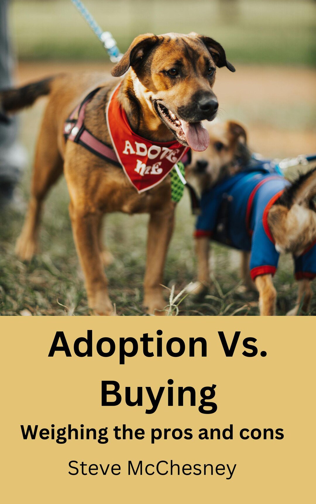 Adoption Vs. Buying: Weighing the Pros and Cons - Etsy