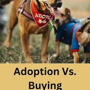 Adoption Vs. Buying: Weighing the Pros and Cons - Etsy