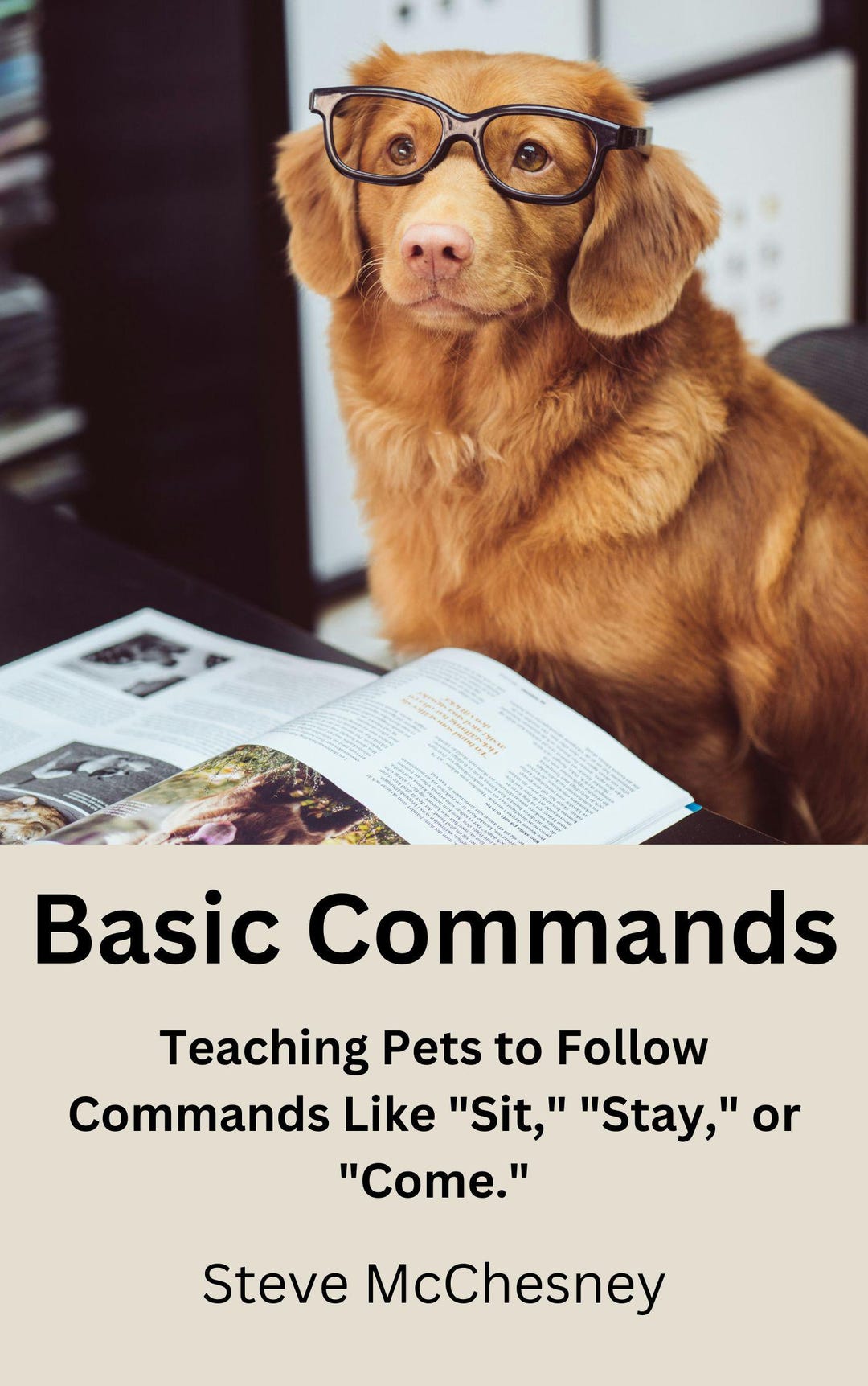 Basic Commands: Teaching Pets to Follow Commands Like "sit," "stay," or ...