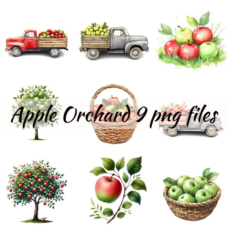 Apple Orchard Clipart-apple Tree- Commercial Use-watercolor, Apples - Etsy