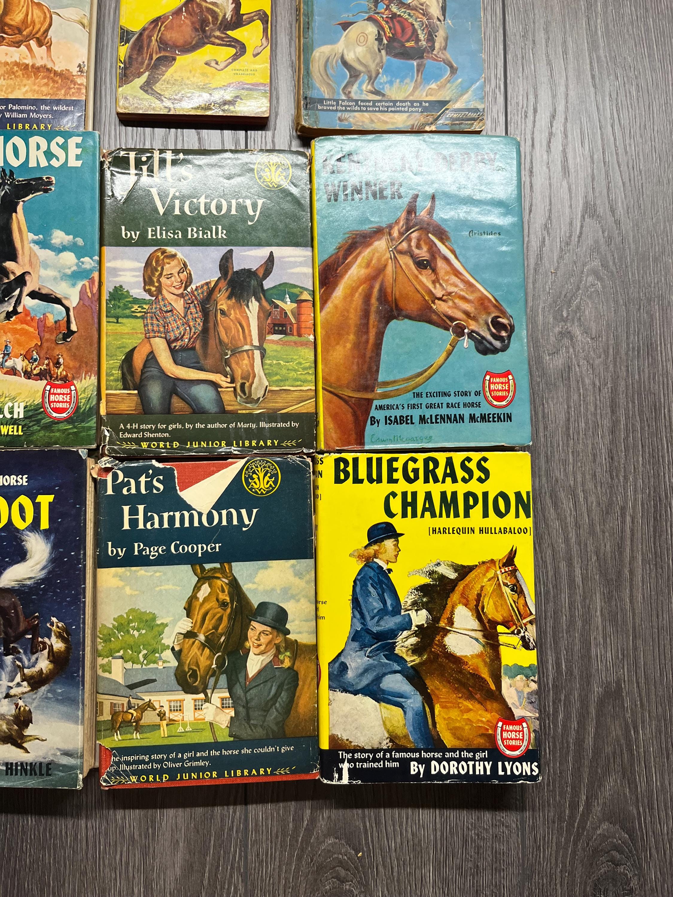 Vintage Horse Stallion Mustang Books Wild Stallion Mustang Indian Paint ...