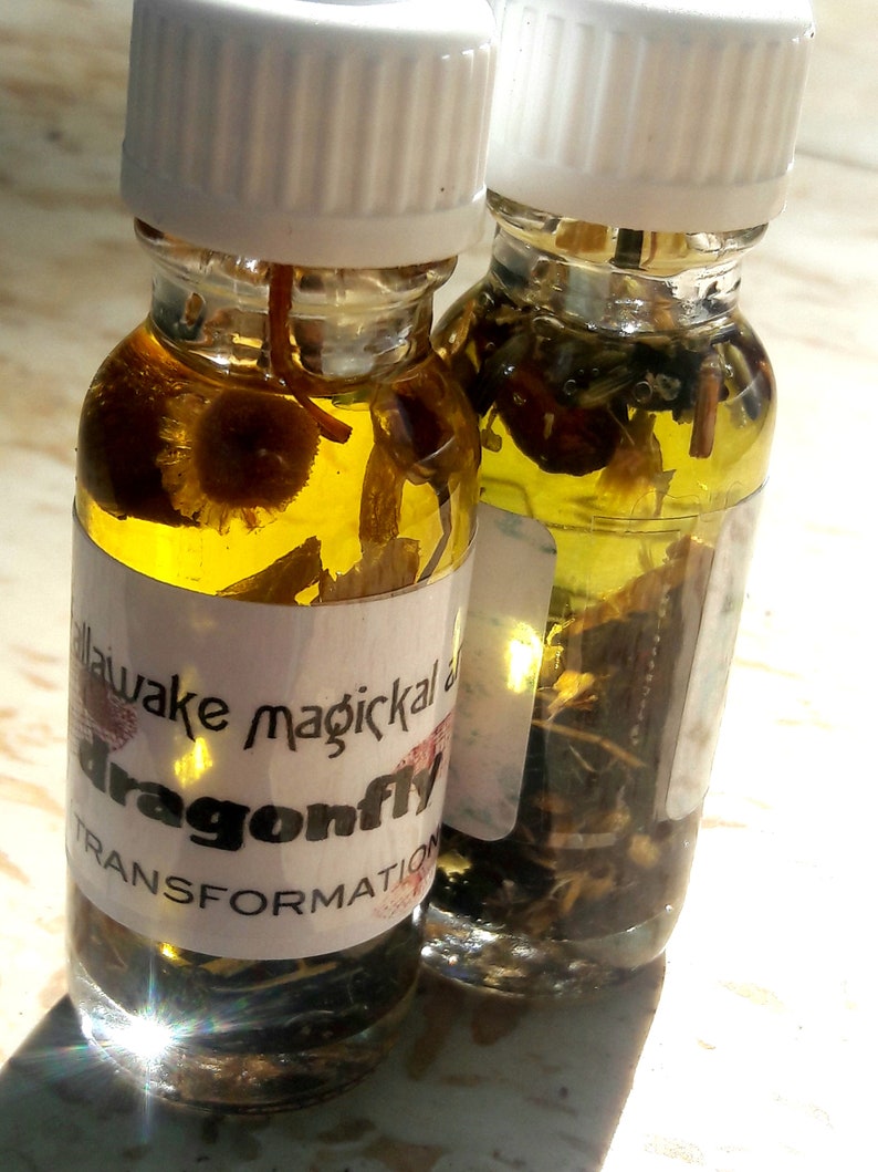 Dragonfly Magickal Ritual Oil for Transformation and Positive | Etsy
