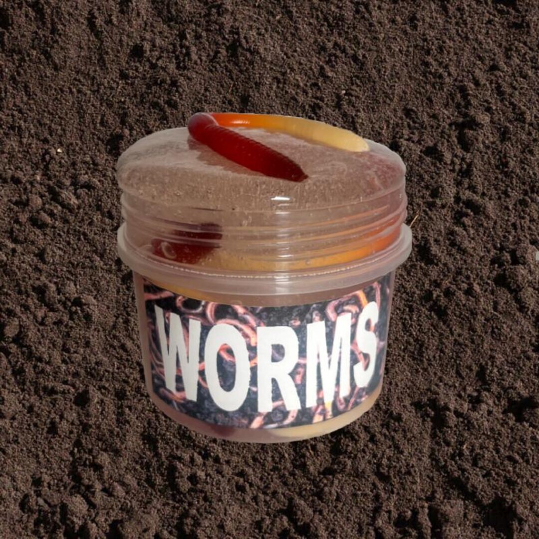 Worm Slime – Clear Textured Slime With Fake Worms | Stretchy & Squishy ...