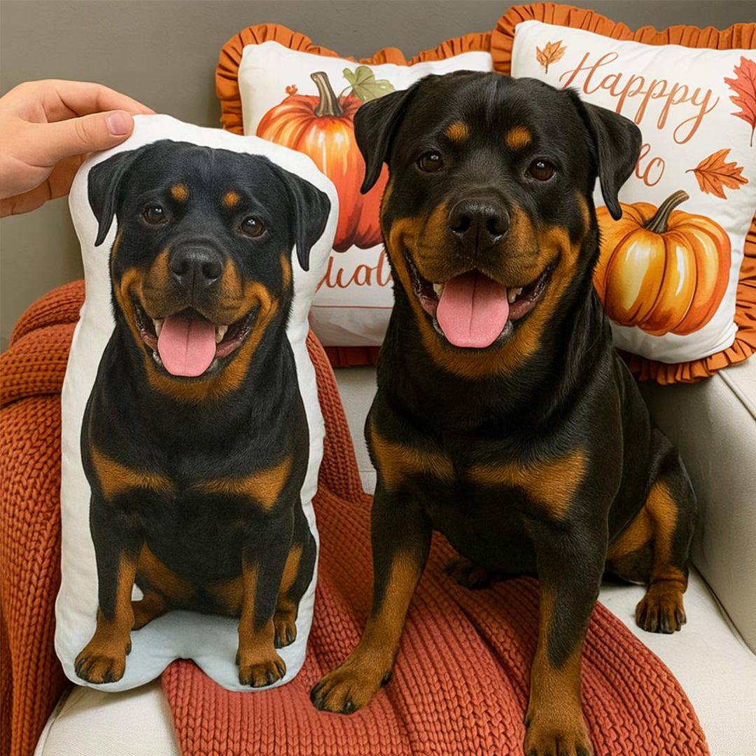 Personalized Pet Pillow – Custom Dog Photo Cushion, Fall Pumpkin Home ...
