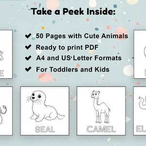 Simple Animal Coloring Pages | Bold and Easy | for Toddlers and Kids ...